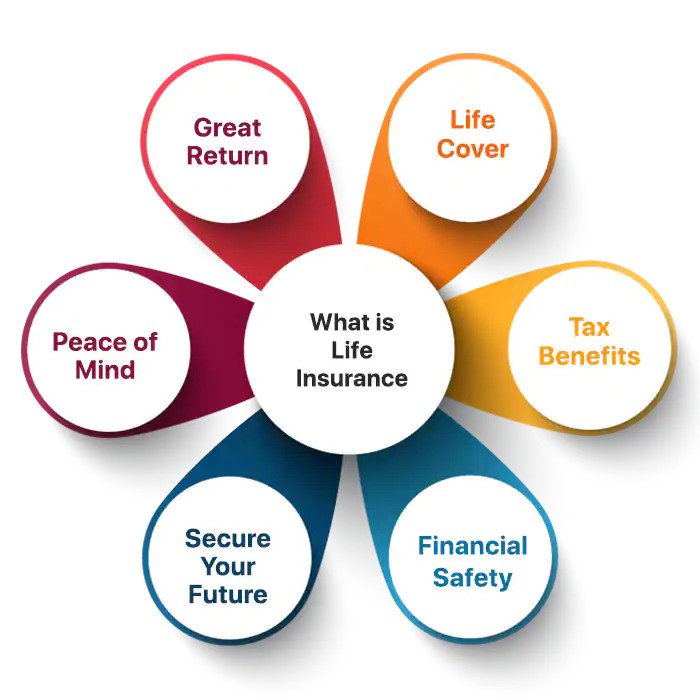 Top 6 LIC Policies To Invest In 2022 Fintra 2022 